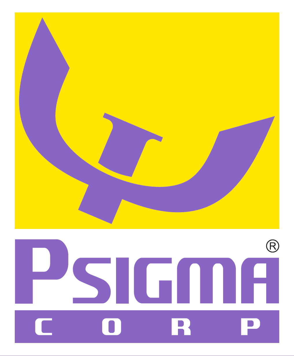Psigma Store